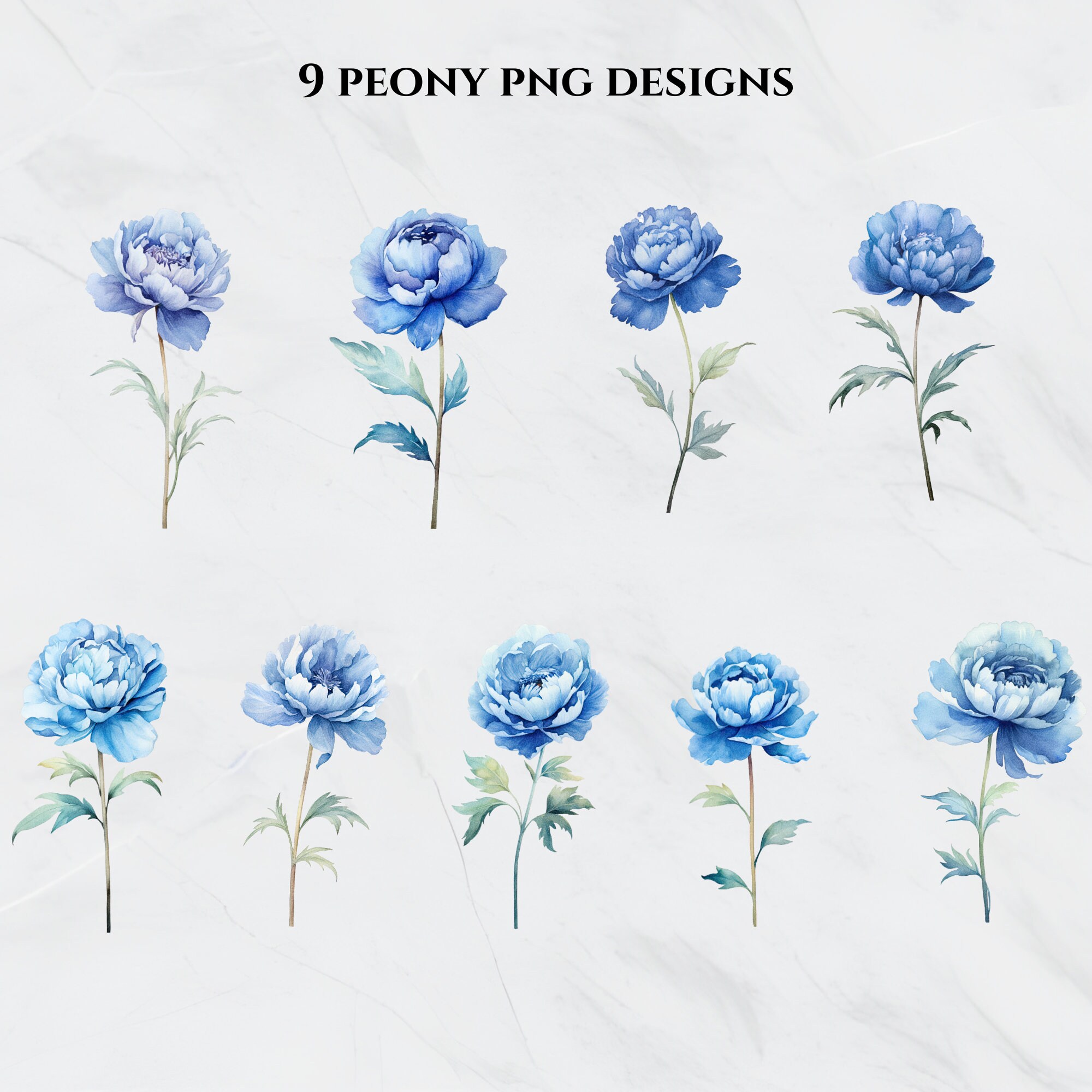 Dusty Blue Floral Clipart, Wedding Peonies Clip Art, White Pink Floral ...