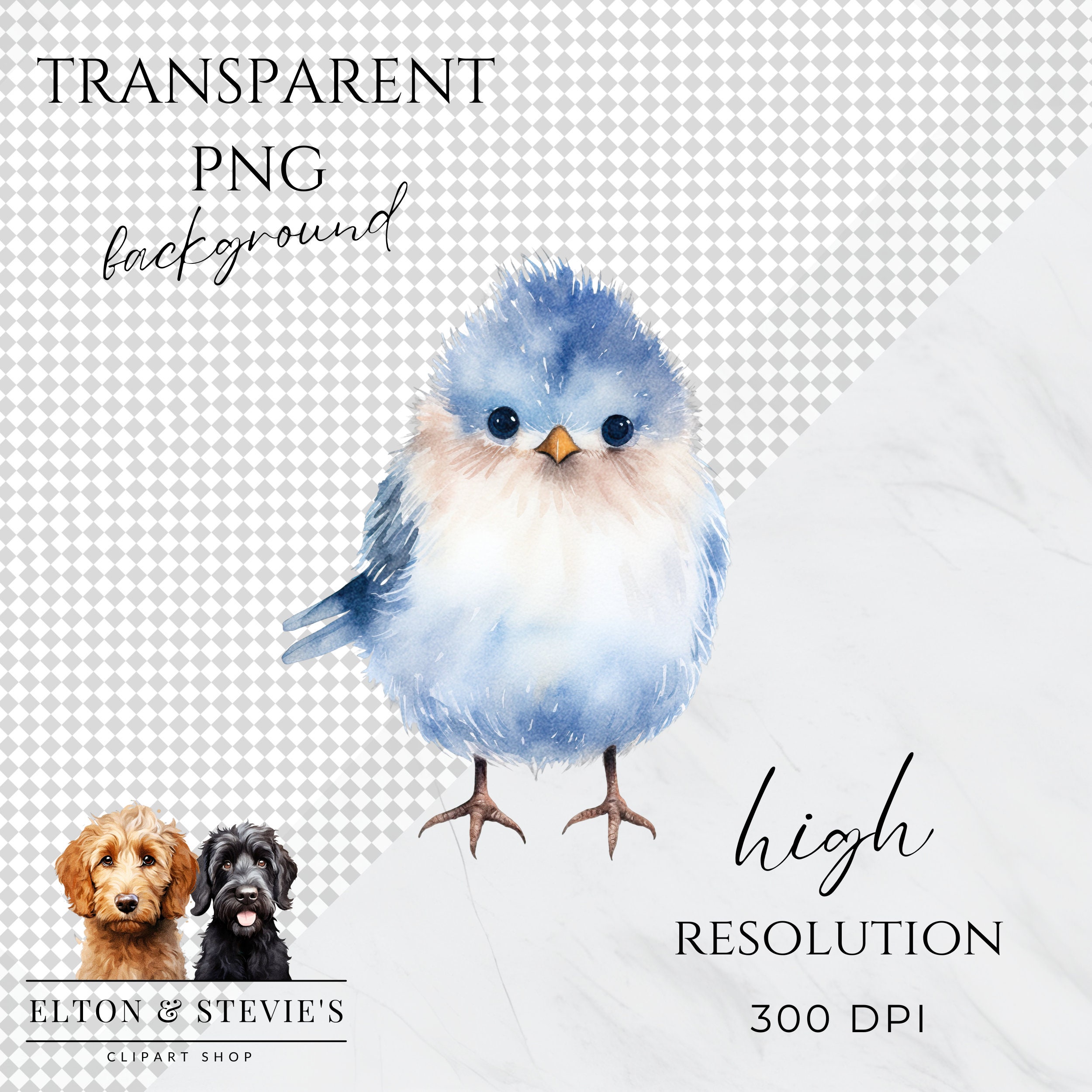 Cute Winter Bird Clipart, Watercolor Blue Bird Clipart, Winter Birds ...