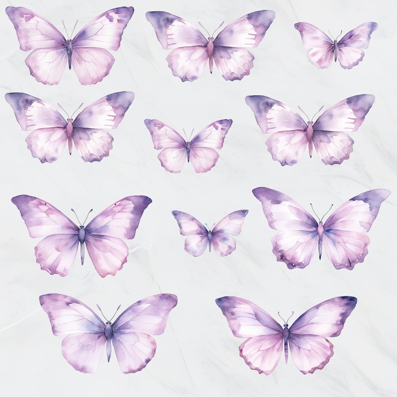Purple Butterfly Clipart, Watercolor, Pink and Purple Butterflies ...