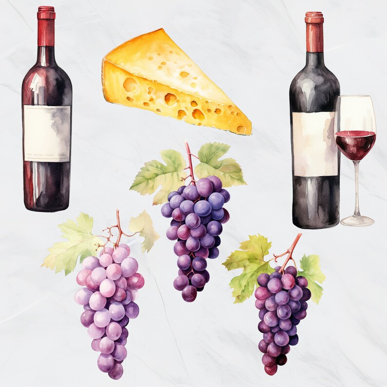 Wine and Cheese Clipart, Clip Art Watercolor Wine, Red Wine, Rose Wine ...