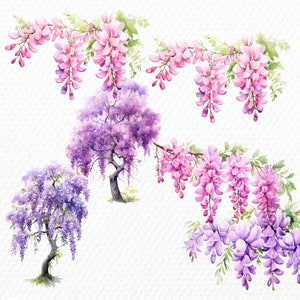Watercolor Wisteria Clipart PNG, Digital Download, Wisteria Tree ...