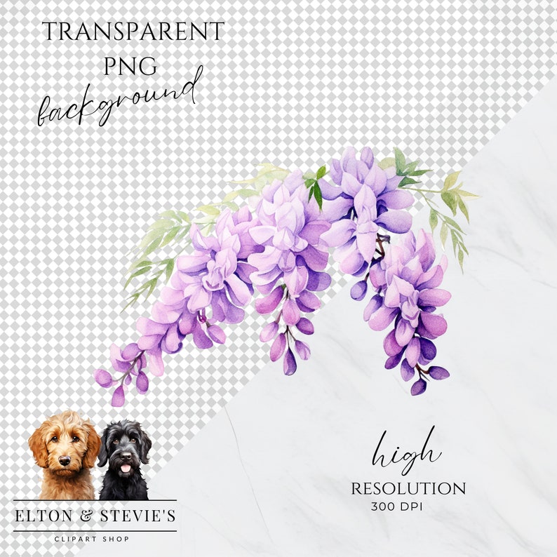 Watercolor Wisteria Clipart PNG, Digital Download, Wisteria Tree ...