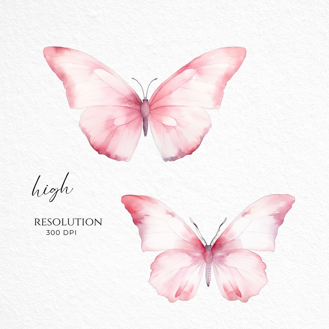 Transparent Background Pink Butterfly PNG, Commercial Use, Overlays ...