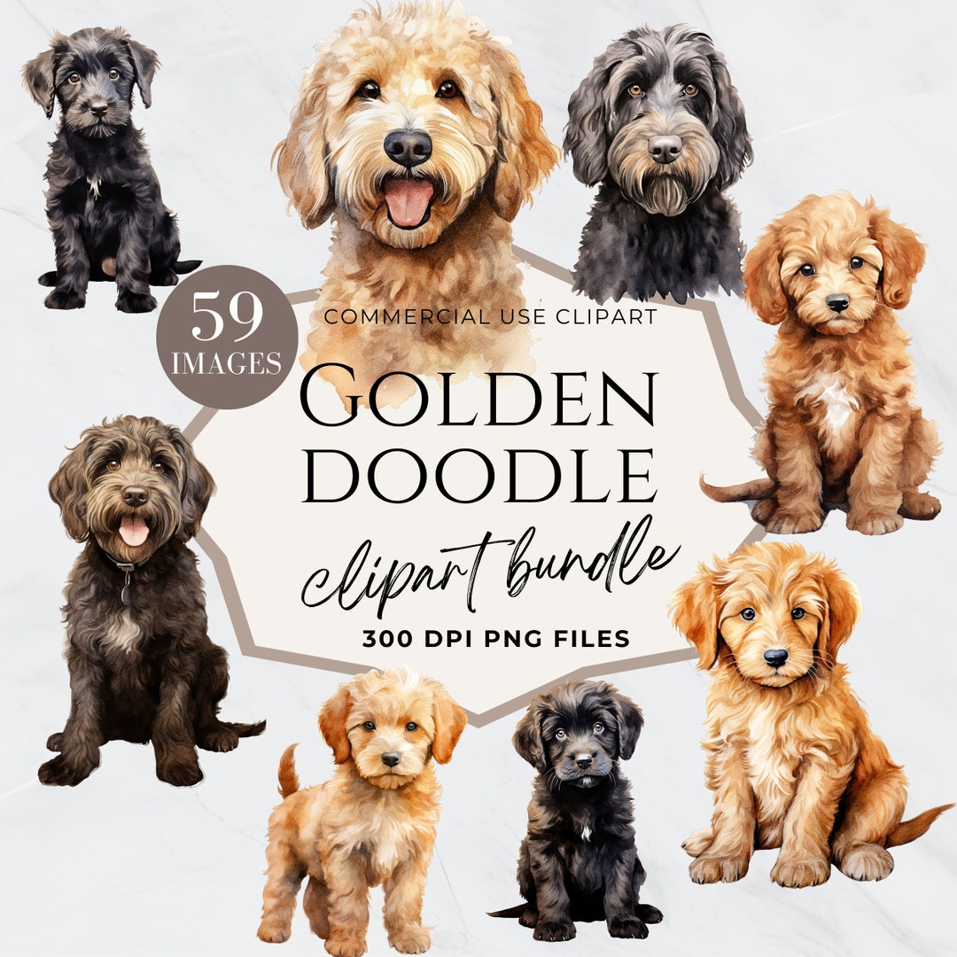 Golden Doodle Clipart, Doodle Dog, Dog Watercolor, Instant Download ...