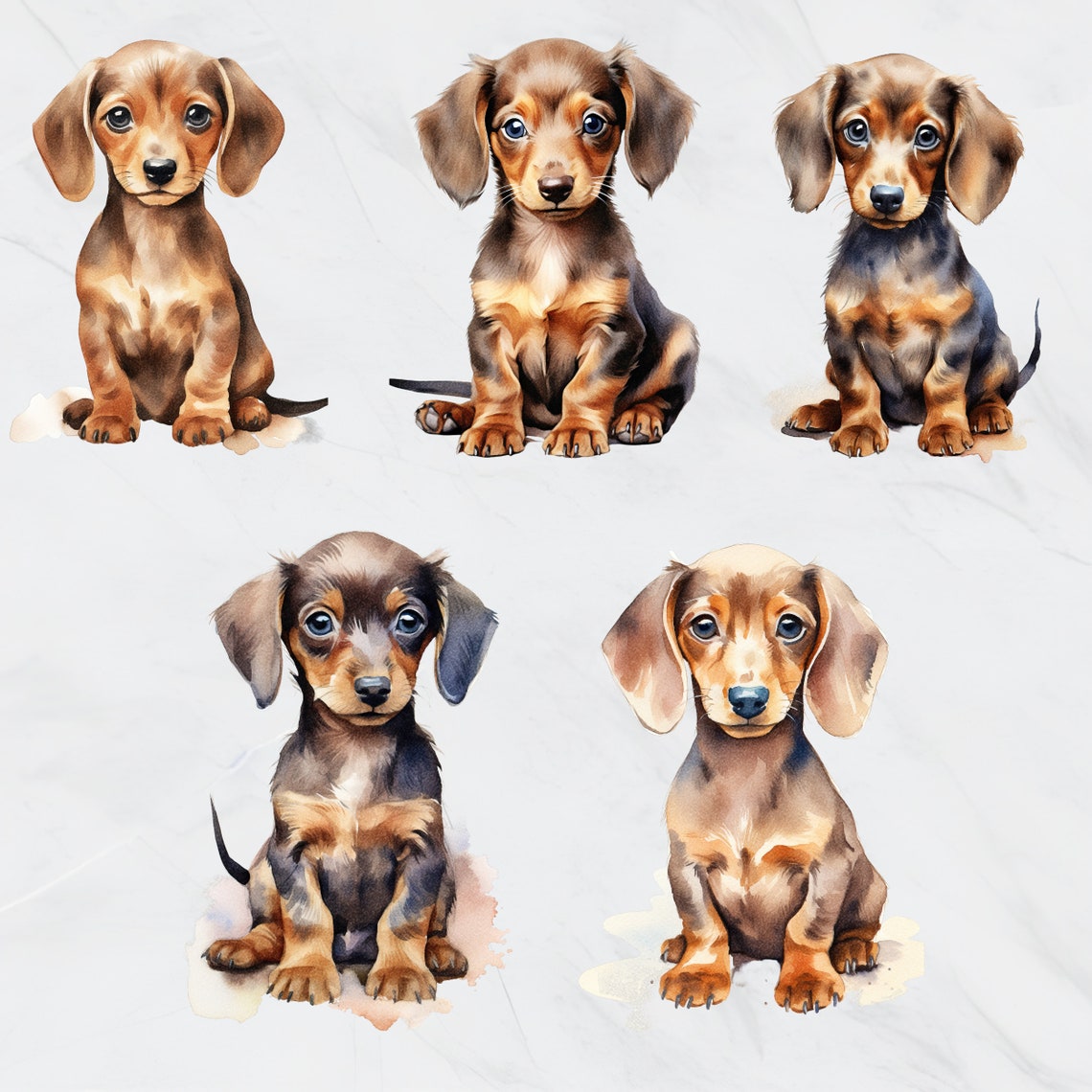 Dachshund Dog Clipart, Weiner Dog PNG, Watercolor Dog Clip Art, Sausage ...