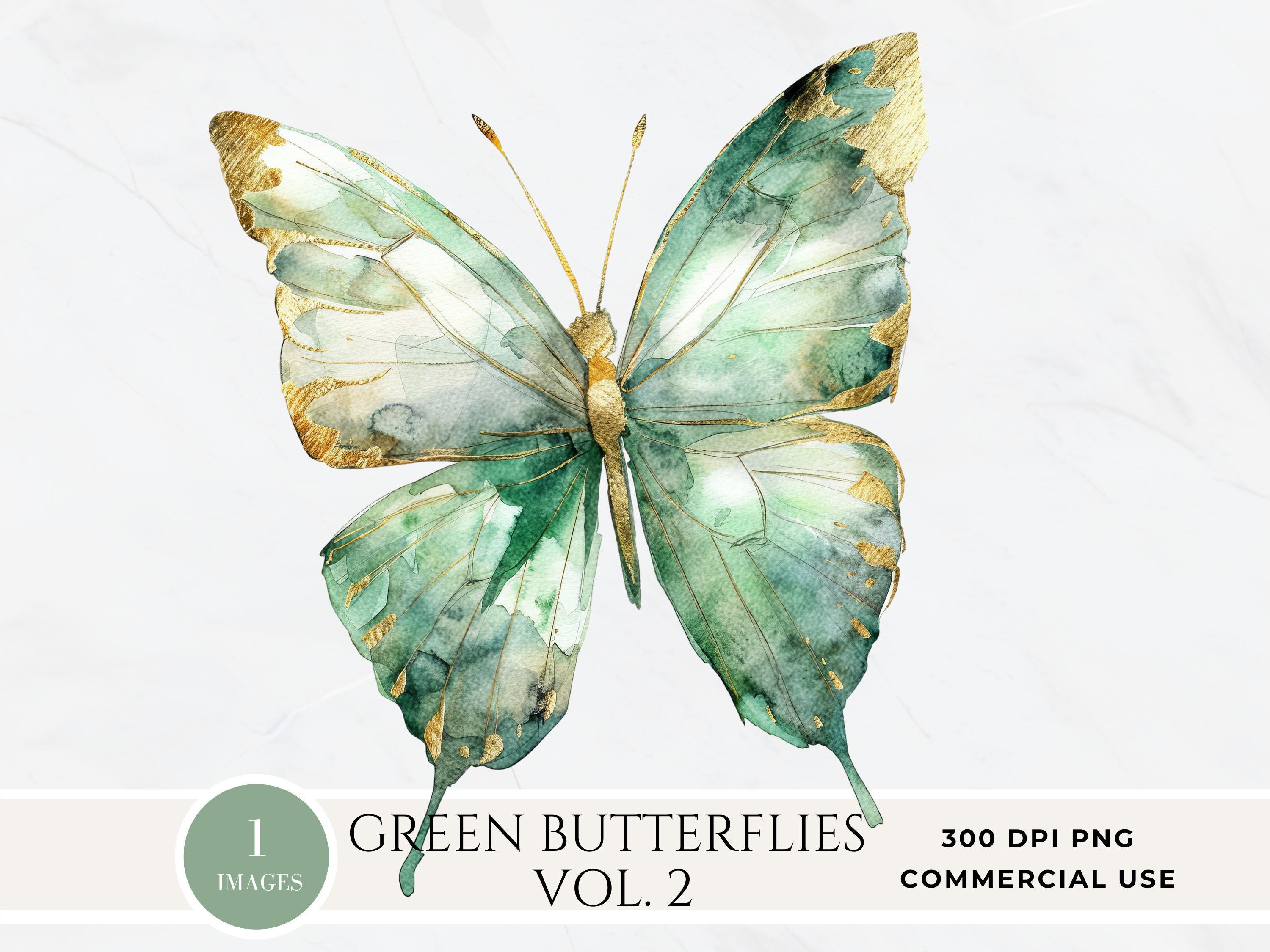 Sage Green Gold Butterflies Clipart, Watercolor Butterfly and Flower ...