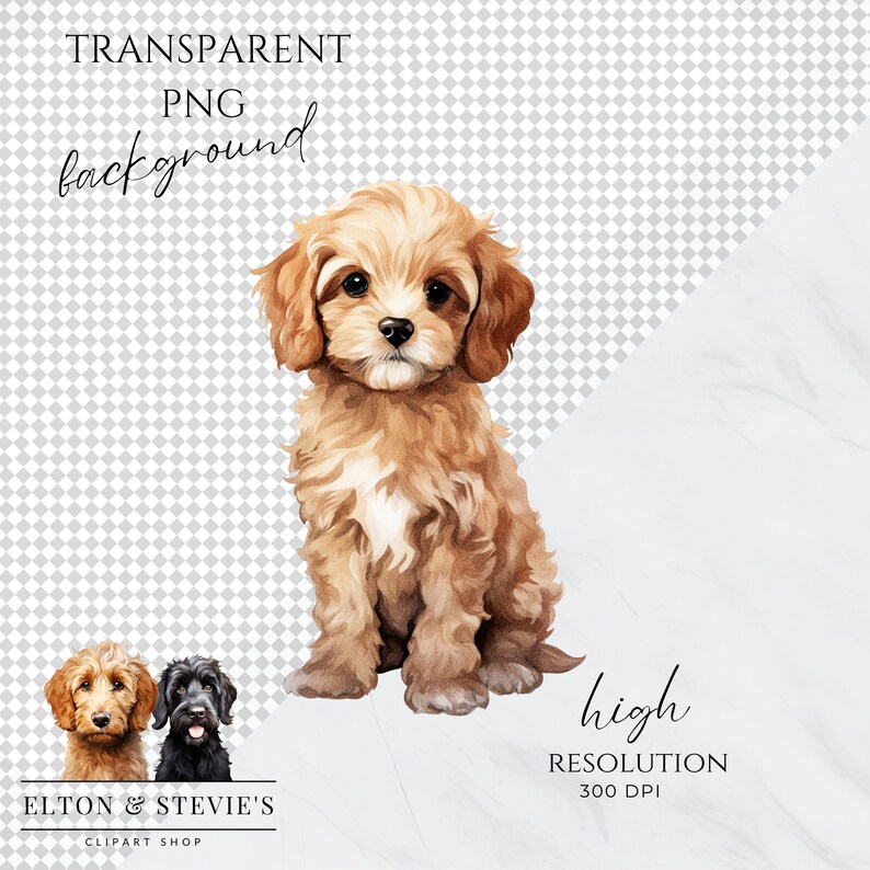 Cavapoo Clipart, Cavalier King Charles Spaniel, Poodle Clip Art, Dog ...