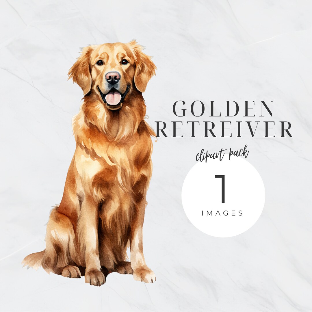 Watercolor Golden Retriever Dog Clipart, Pet Png, Puppy Transparent ...