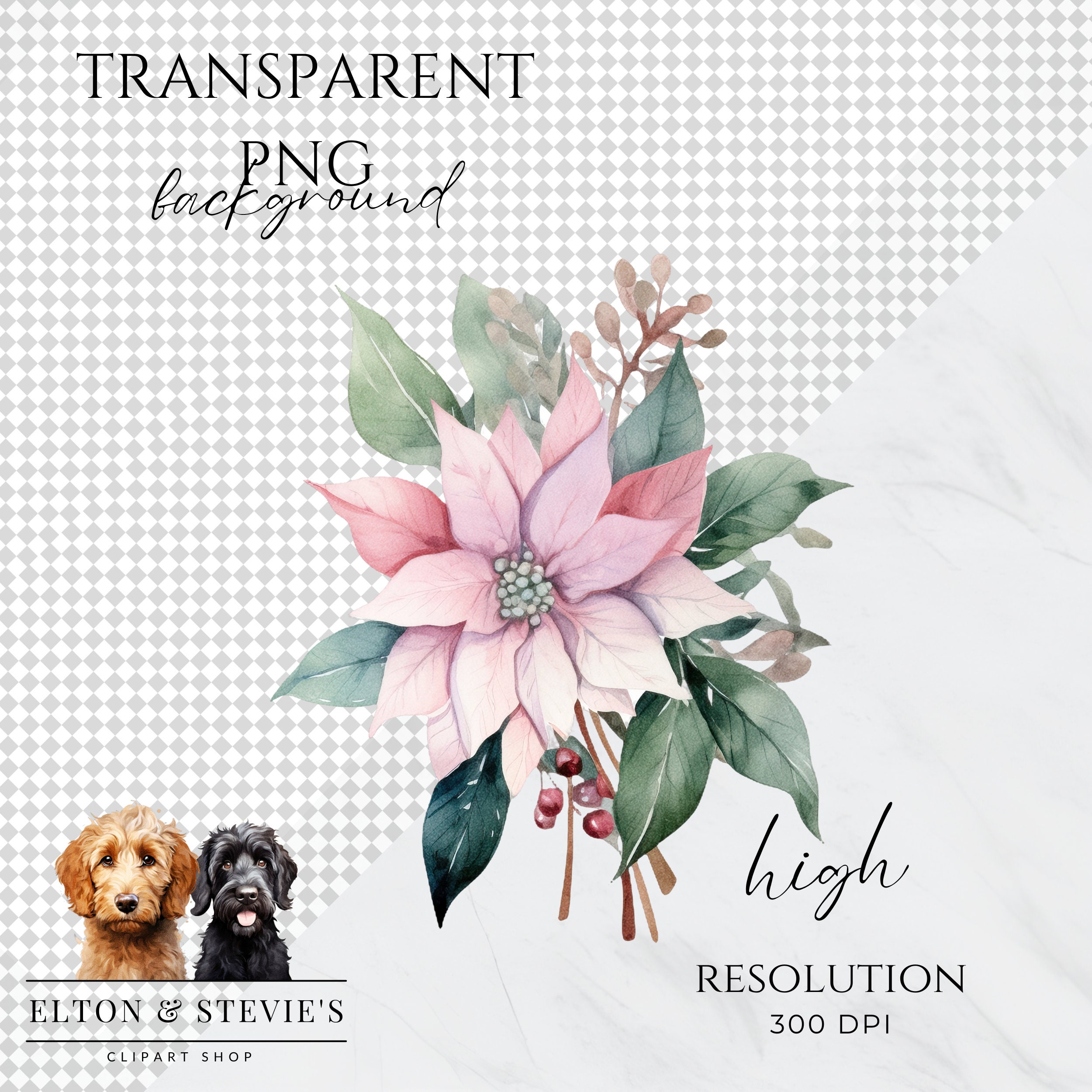 Christmas Poinsettia Clipart, Holiday Clipart, Watercolor Poinsettia ...