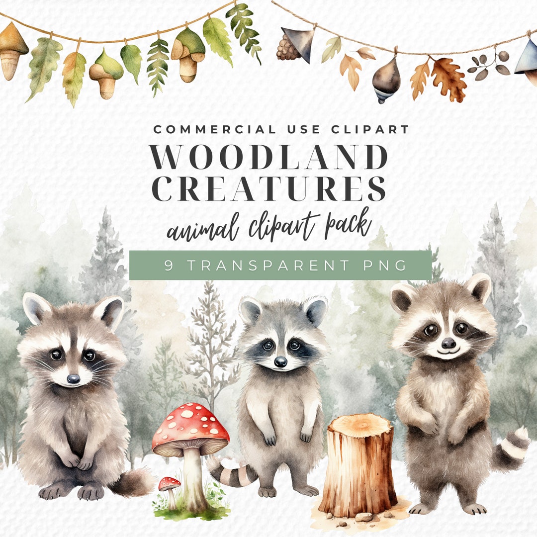 Watercolor Clipart Woodland Animals Bear, Creatures Clip Art, Baby ...