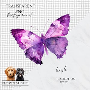 Purple Butterfly Clipart, Pink and Purple Butterflies Clip Art, Pastel ...