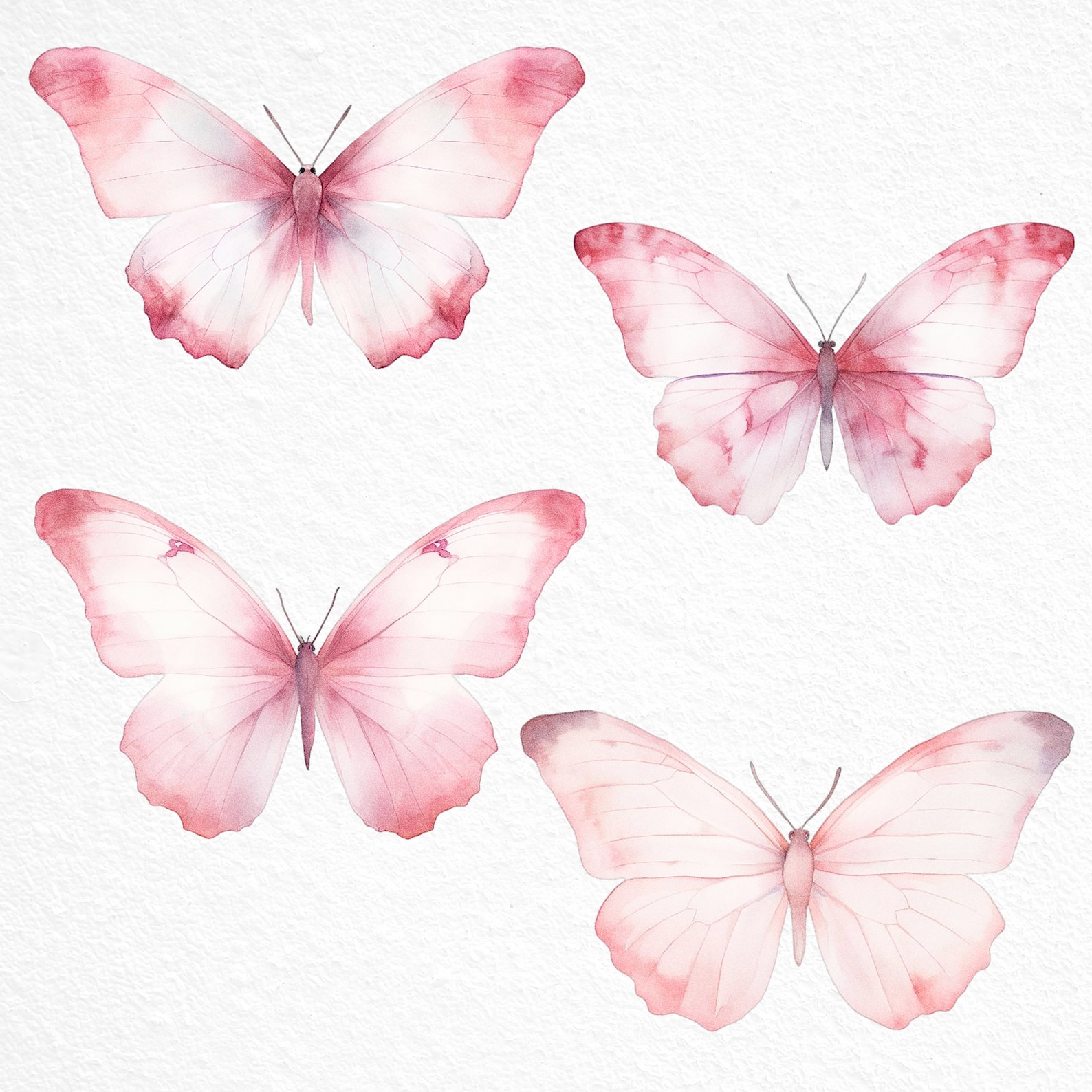 Transparent Background Pink Butterfly PNG, Commercial Use, Overlays ...