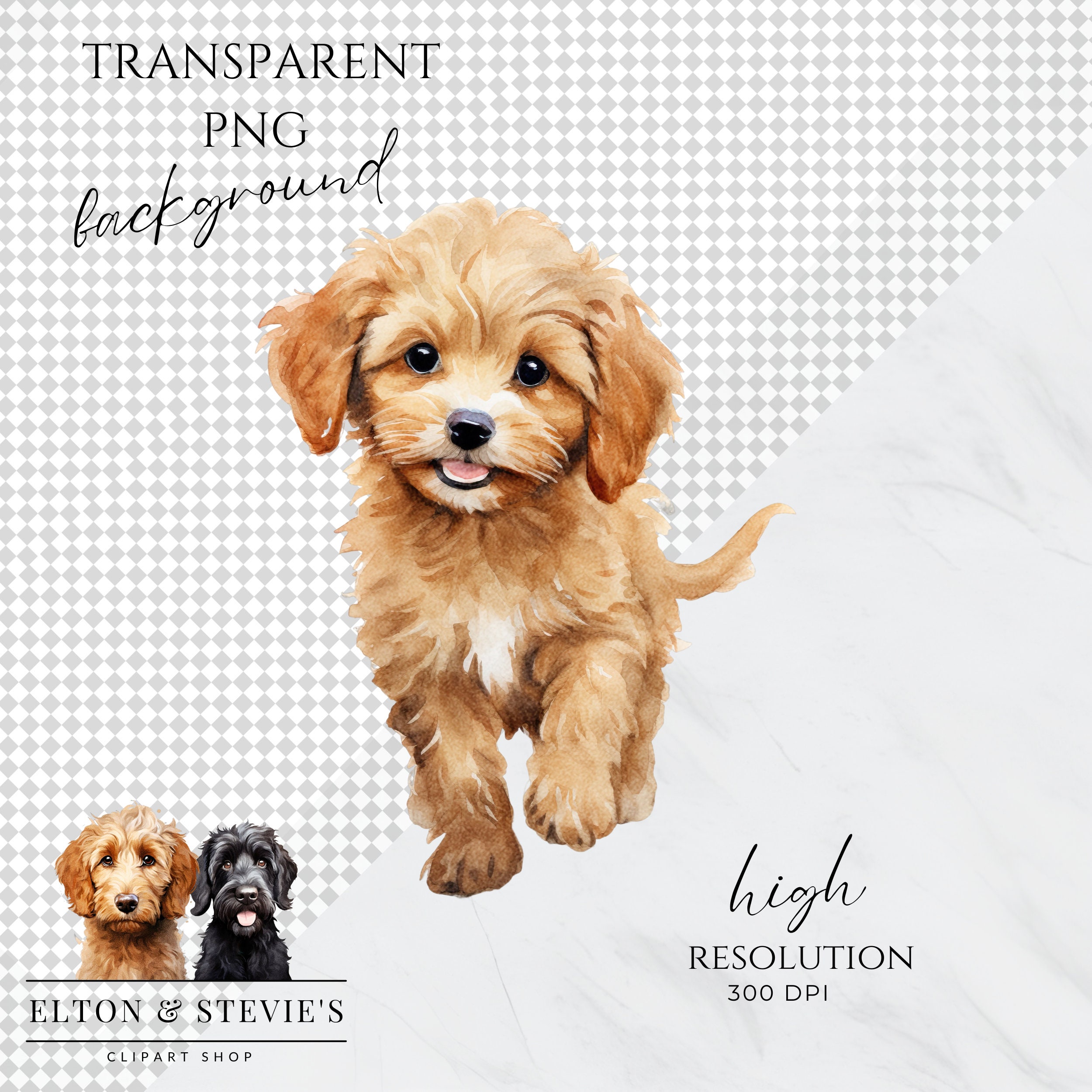 Cavapoo Clipart, Cavalier King Charles Spaniel, Poodle Clip Art, Dog ...