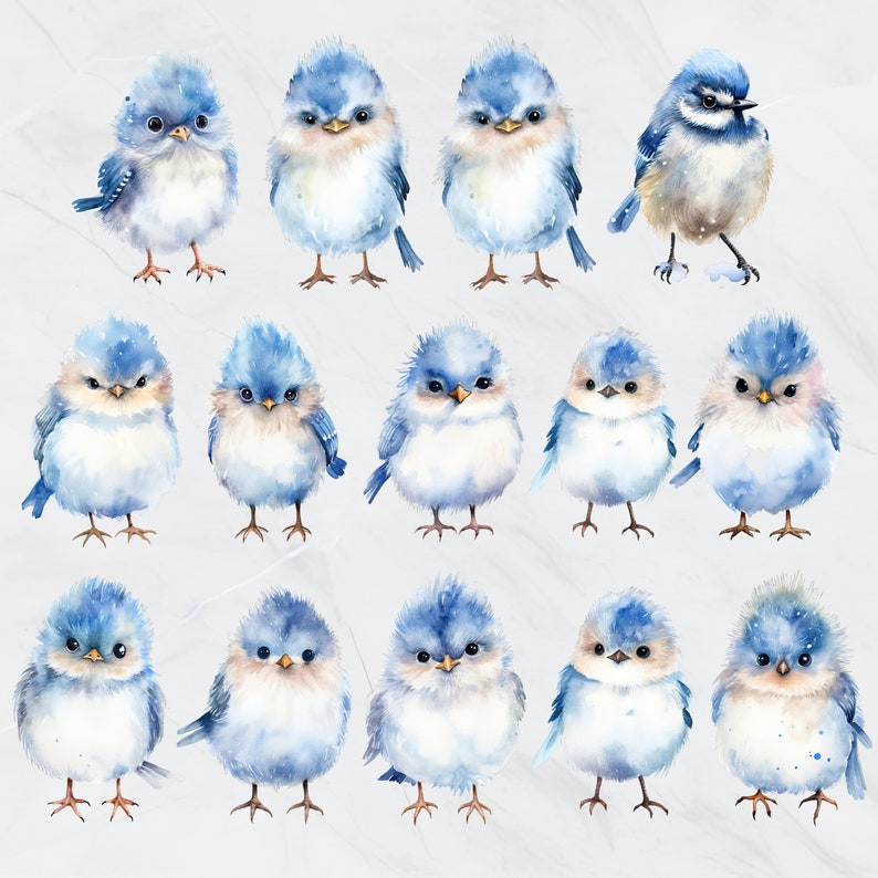 Cute Winter Bird Clipart, Watercolor Blue Bird Clipart, Winter Birds ...
