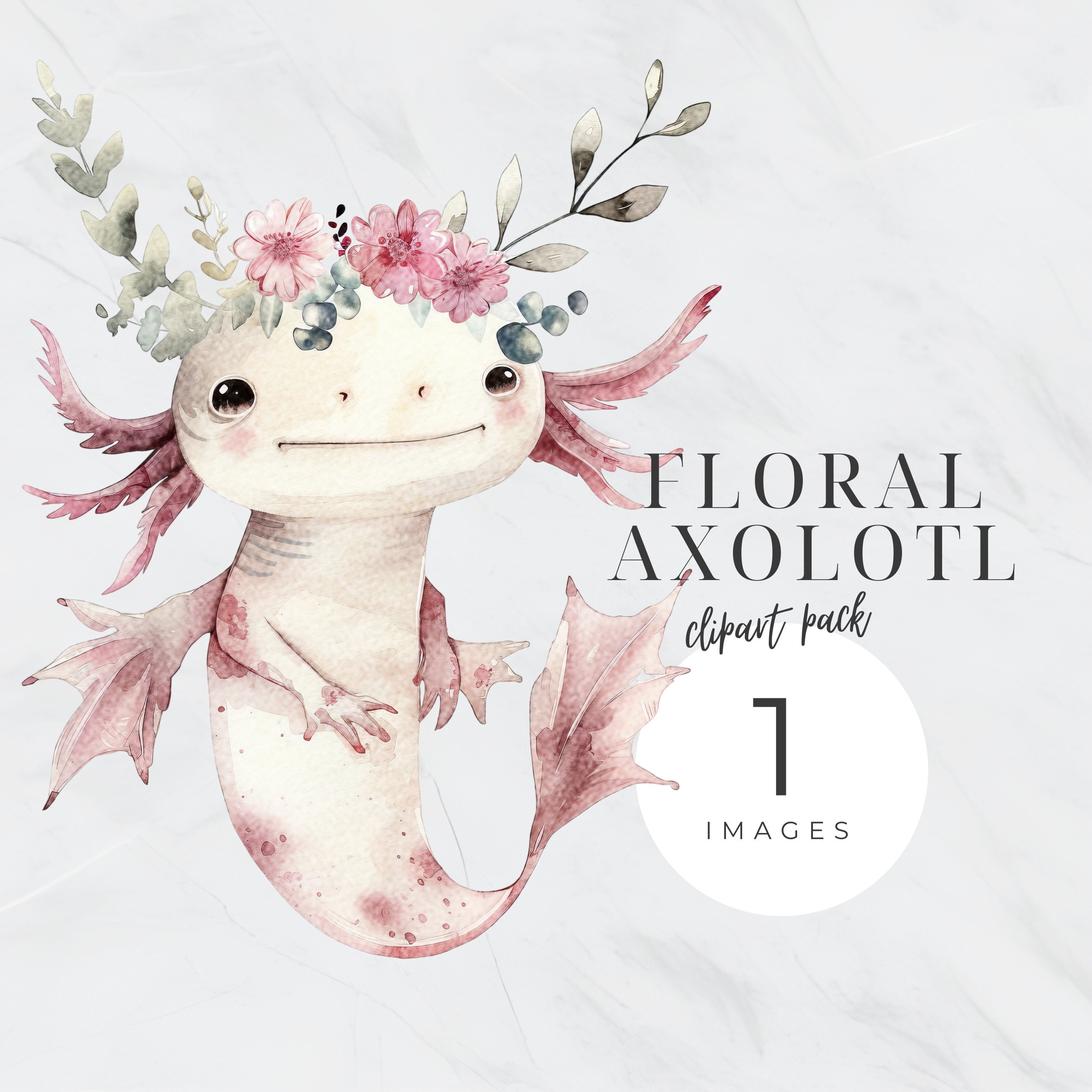Axolotl Birthday Clipart, Sea Animal Graphics, Watercolor Nursery Decor ...