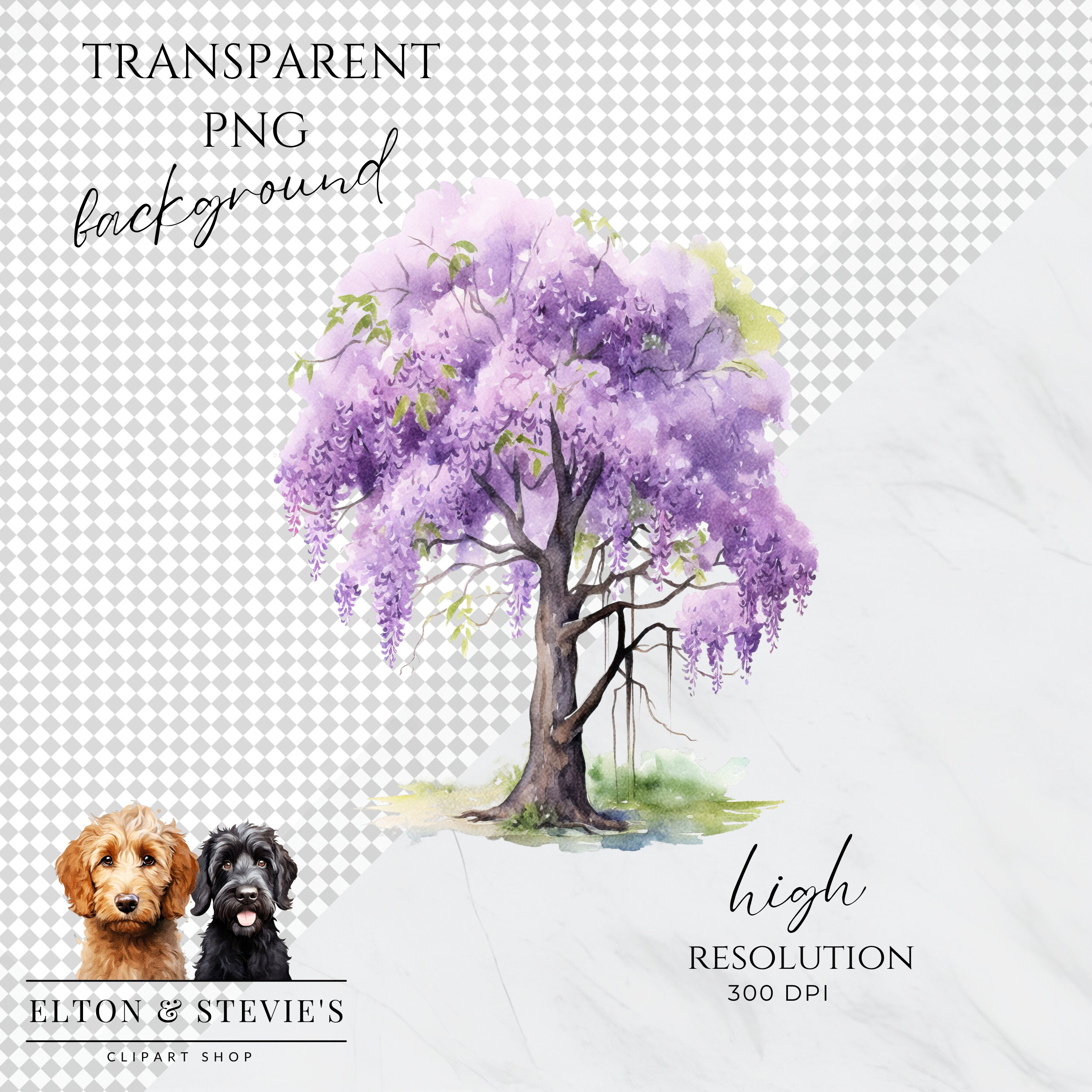 Watercolor Wisteria Clipart PNG, Digital Download, Wisteria Tree ...