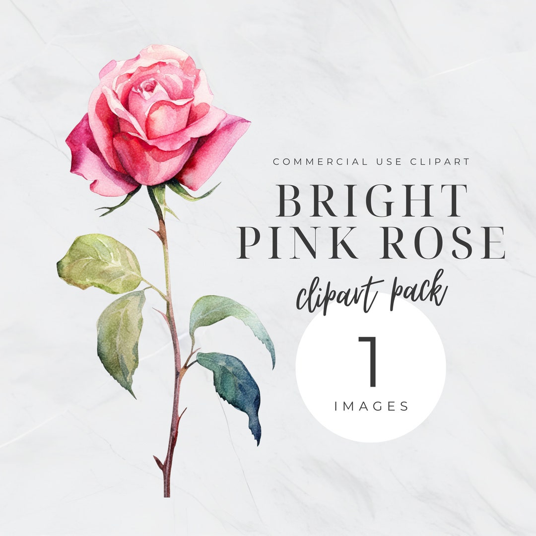 Rose Bud Clipart, Simple Rose Clip Art, Vintage Rose Clipart ...