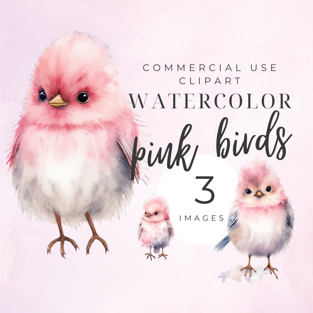 Cute Winter Bird Clipart, Winter Birds Watercolor Clip Art, Snow Bird ...
