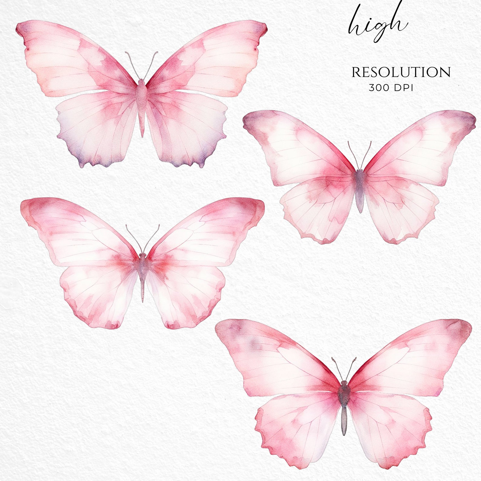 Transparent Background Pink Butterfly PNG, Commercial Use, Overlays ...