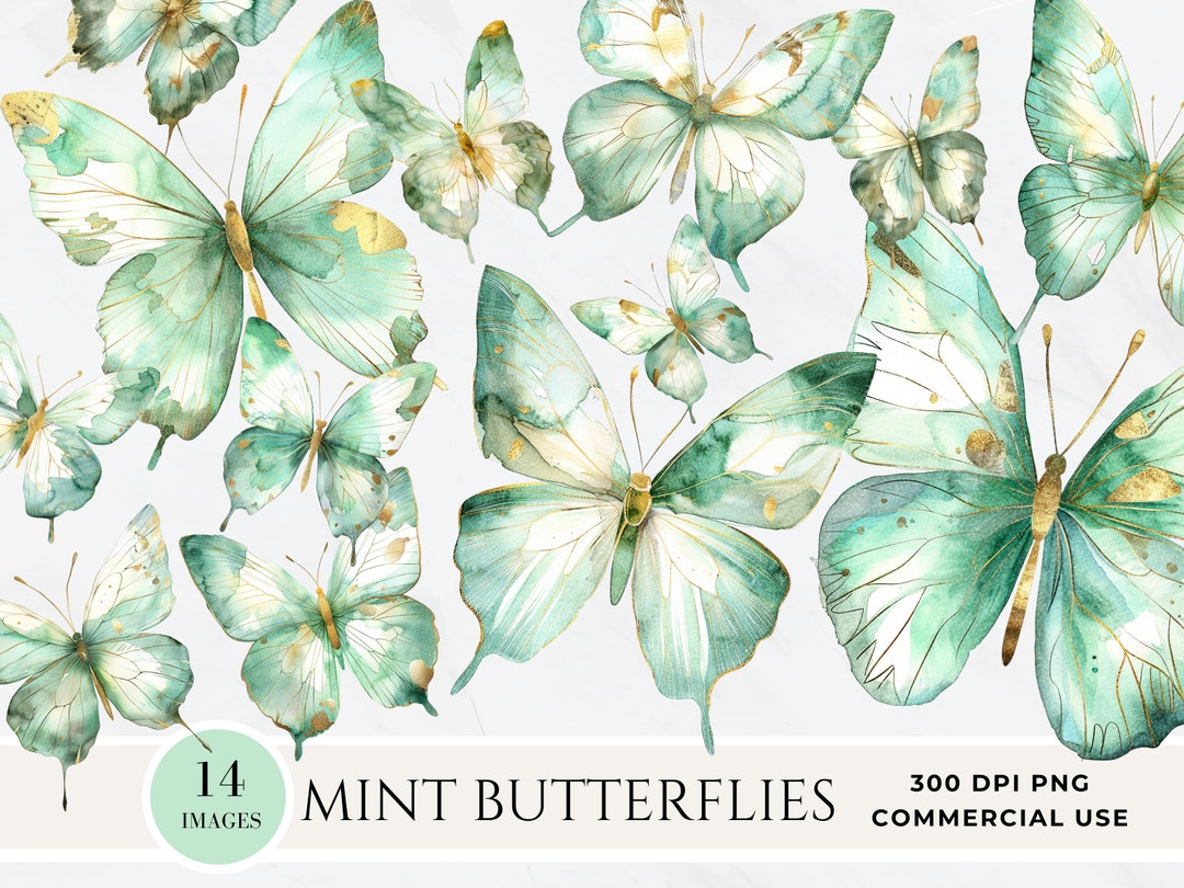 Mint Green Gold Butterflies Clipart, Watercolor Butterfly and Flower ...