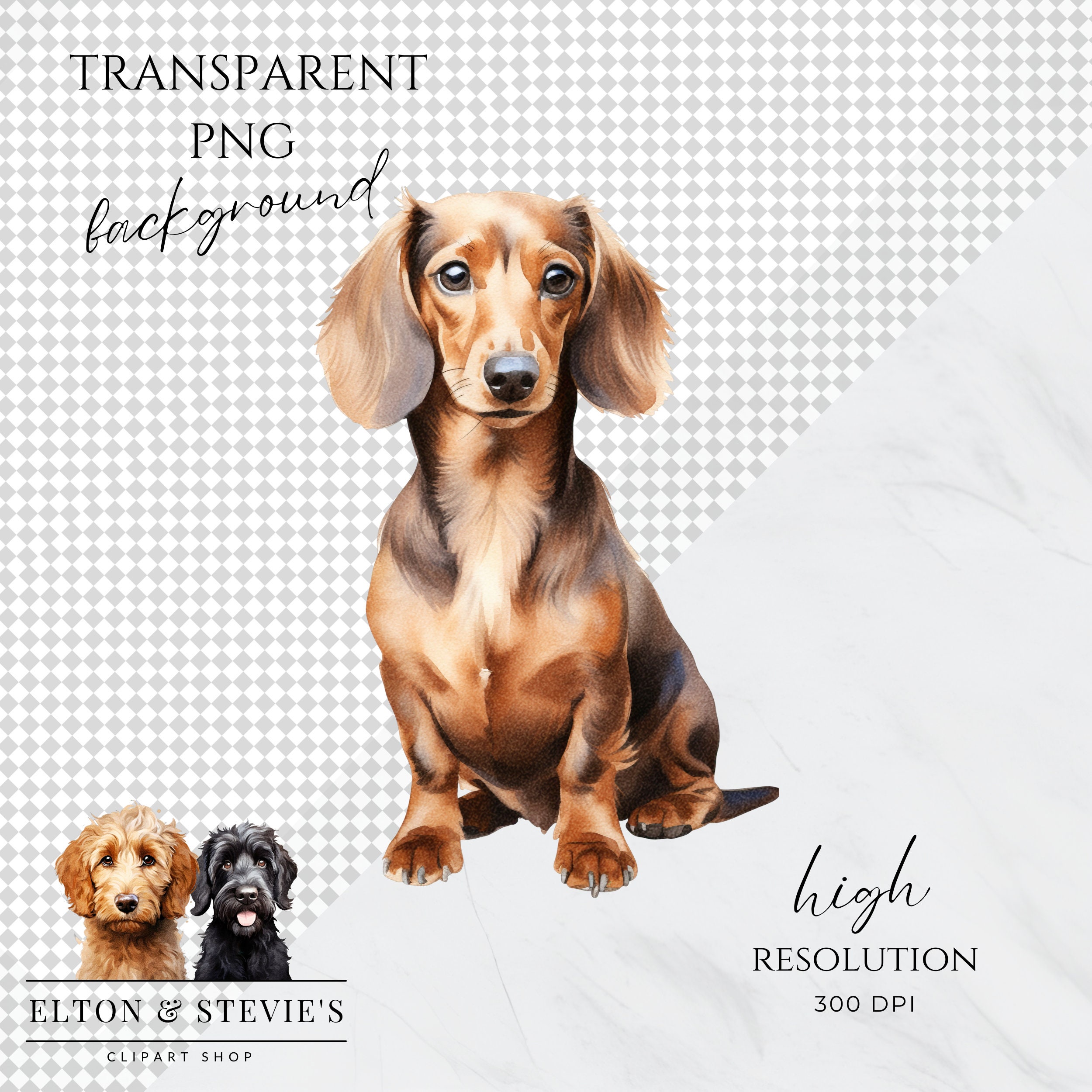 Dachshund Dog Clipart, Weiner Dog PNG, Watercolor Dog Clip Art, Sausage ...