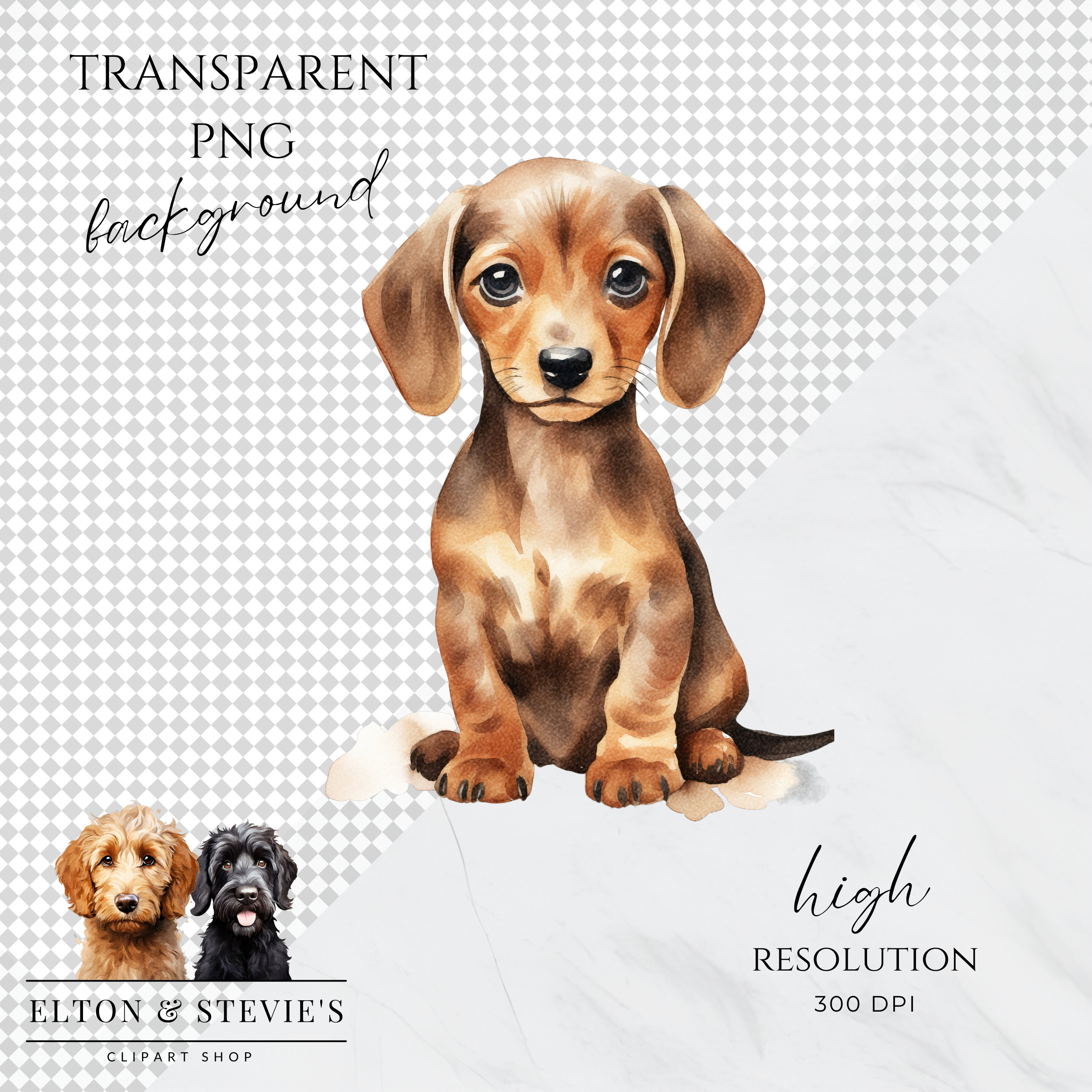 Dachshund Dog Clipart, Weiner Dog PNG, Watercolor Dog Clip Art, Sausage ...