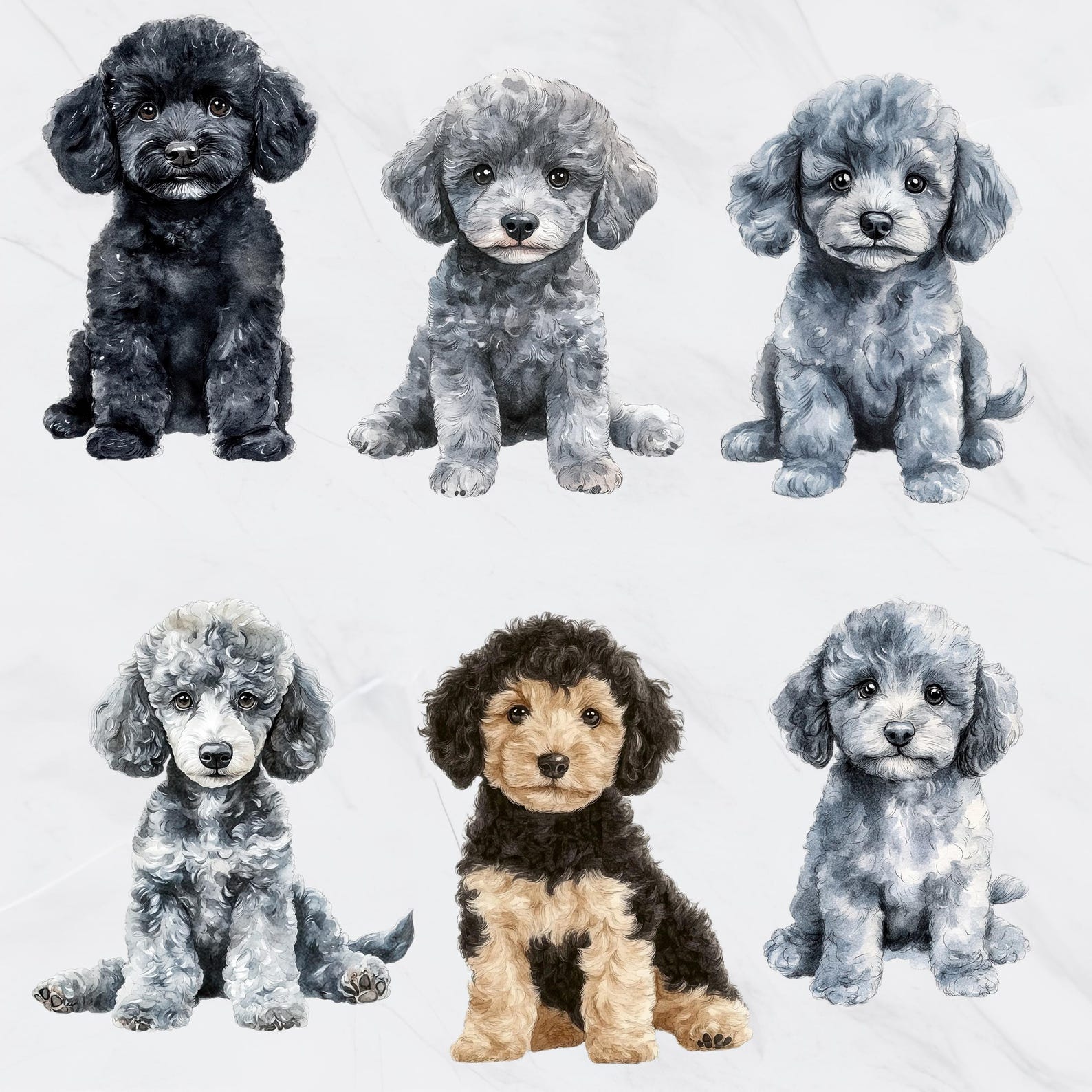 Toy Poodle PNG, Cute Puppy Clipart, Dog Graphics, Digital Download ...