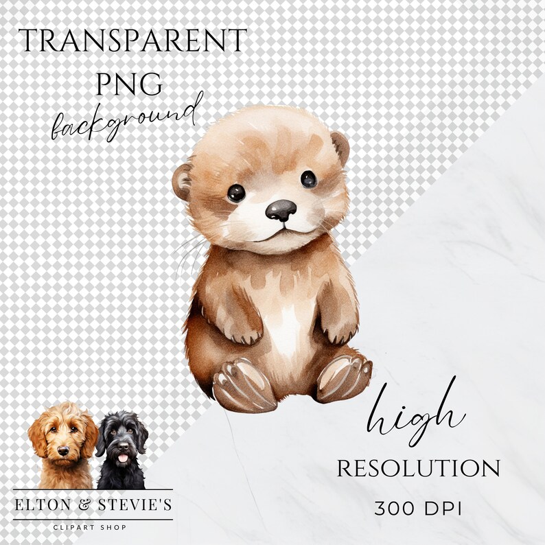 Sea Otter Watercolor Clipart, Cute Otter PNG Bundle, Animals Clip Art ...