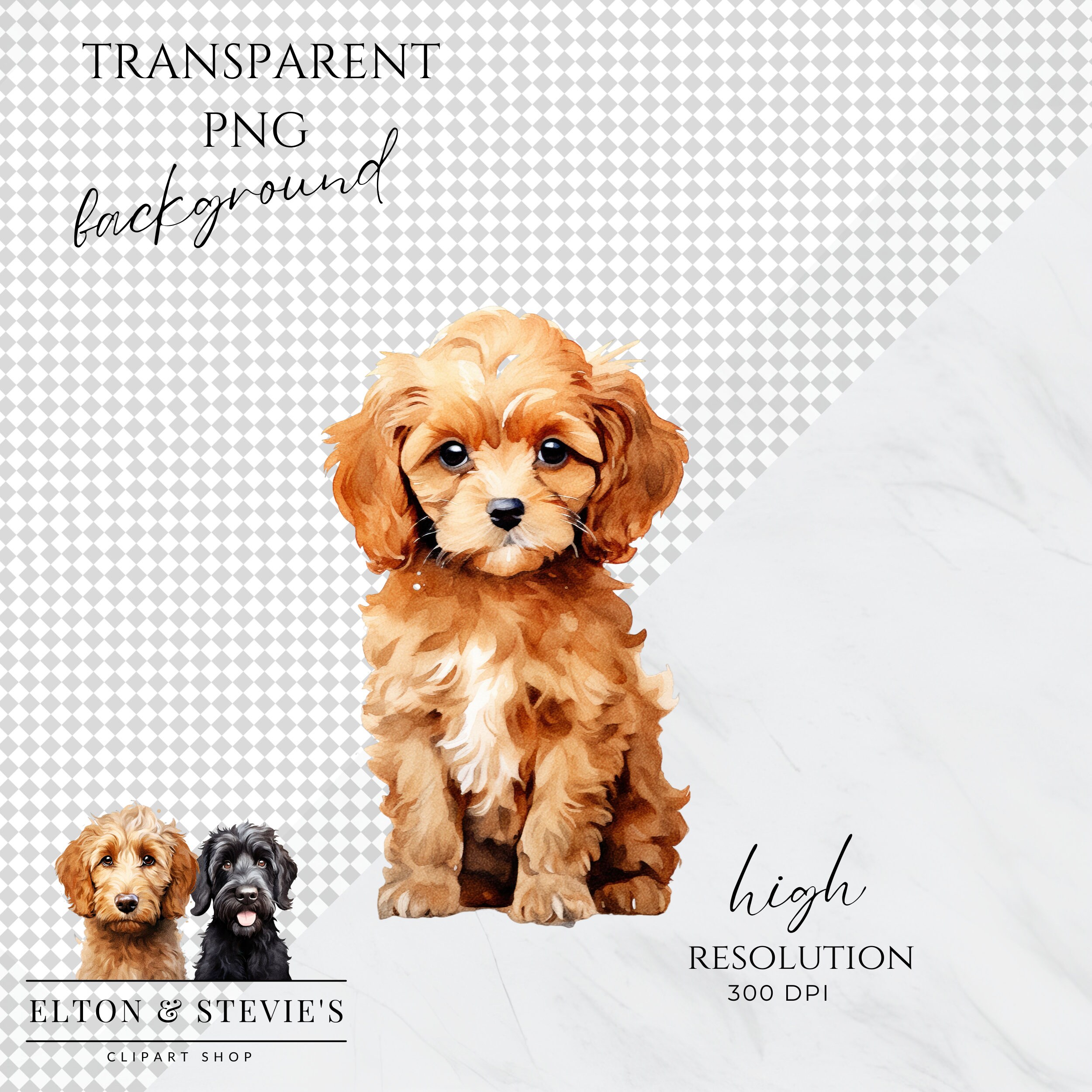 Cavapoo Clipart, Cavalier King Charles Spaniel, Poodle Clip Art, Dog ...