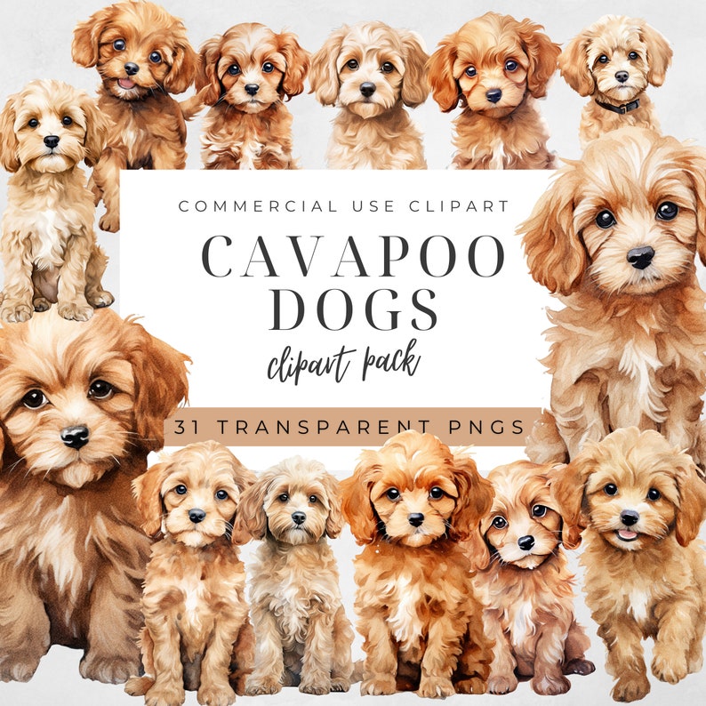 Cavapoo Clipart, Cavalier King Charles Spaniel, Poodle Clip Art, Dog ...