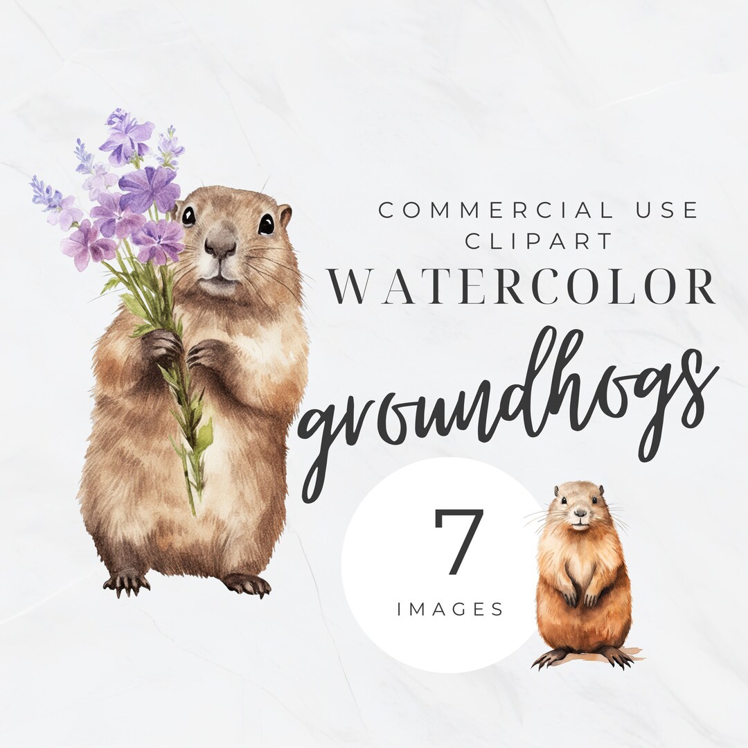 Groundhog Clipart Bundle, Groundhog Day Clip Art, Ground Hog With ...