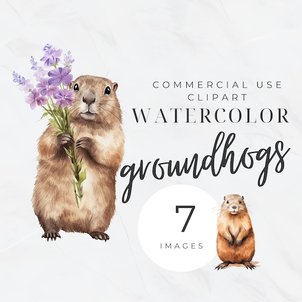 Groundhog Day Clip Art - Etsy