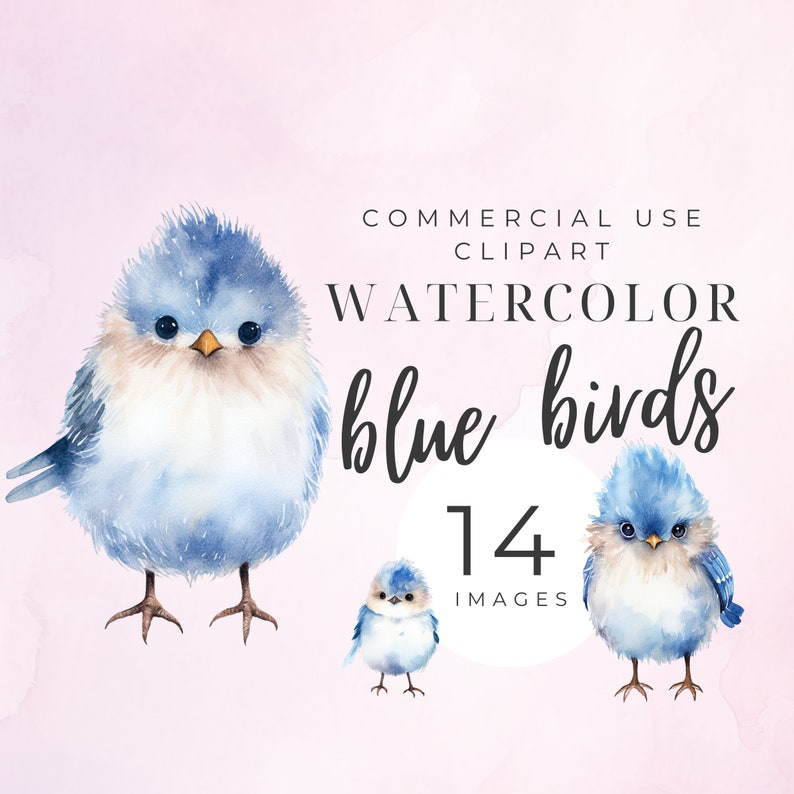 Cute Winter Bird Clipart, Watercolor Blue Bird Clipart, Winter Birds ...