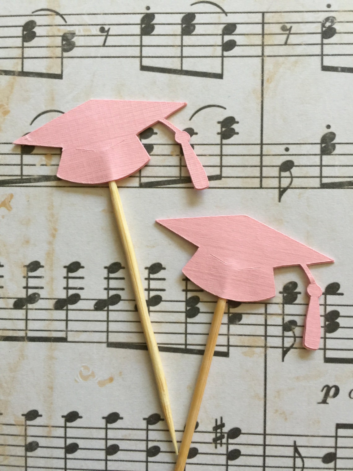 24 Pieces PINK Graduation Cap Cupcake Toppers Toothpicks | Etsy