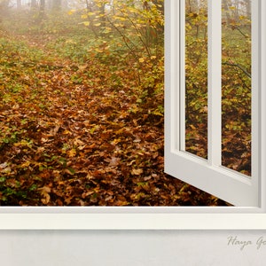 Autumn Forest Photography Printed on Canvas, Nature Scenery Picture ...