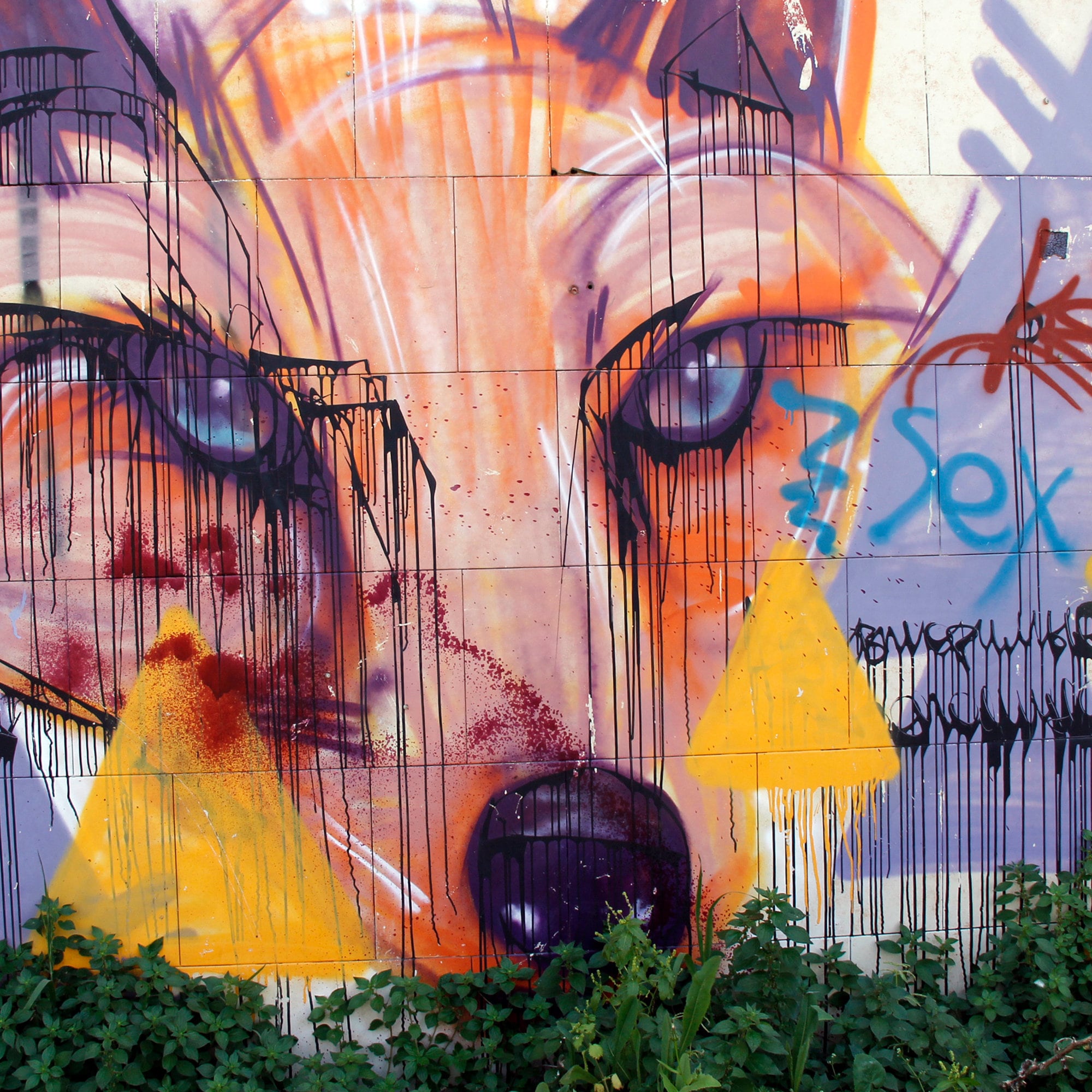Street Art Fox Canvas Print: Vibrant Animal Graffiti Giclée - Etsy