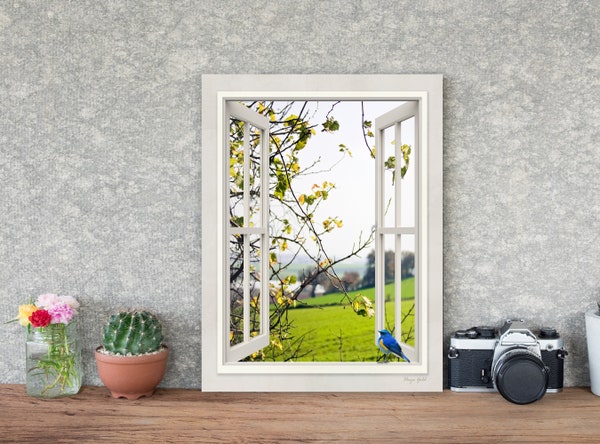 Forest Wall Decal, Walkway Forest 3d Window Wall Decal, Forest Trees ...