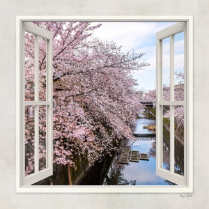 Cherry Blossom Window View Canvas Print - 3D Illusion Wall Art With ...