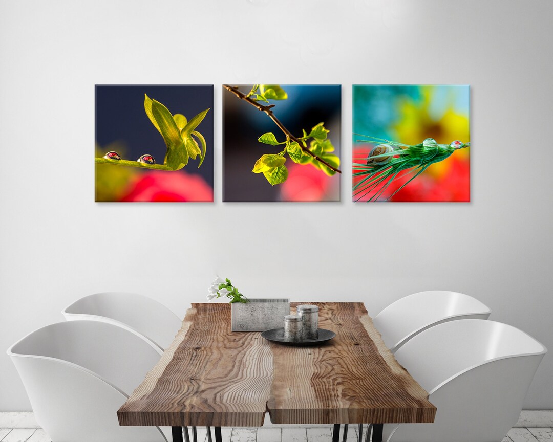 Set of 3 Nature Art Photography Prints Flower Photography - Etsy