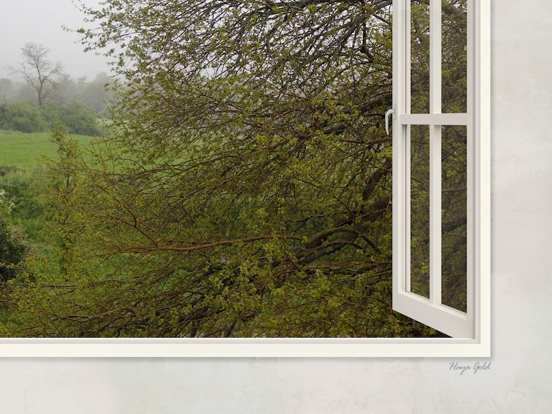 Open Window Wall Art Printed on Canvas Window Wall Art - Etsy