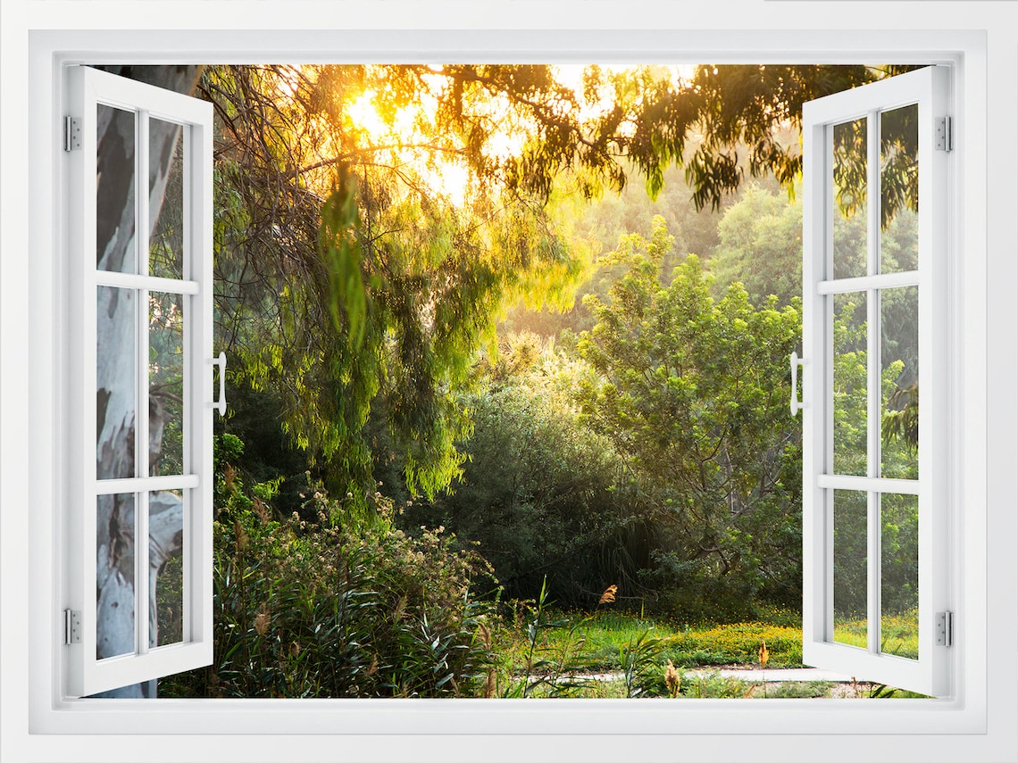Golden Sunset Forest View Through Window - Nature Wall Art Print - Home ...