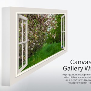 Almond Orchard Blossom Window View Canvas - Jerusalem Hills Nature ...