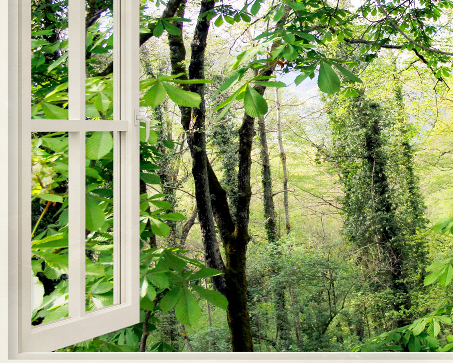 Forest Art Window View Print on Canvas 3D Wall Art Giclee | Etsy