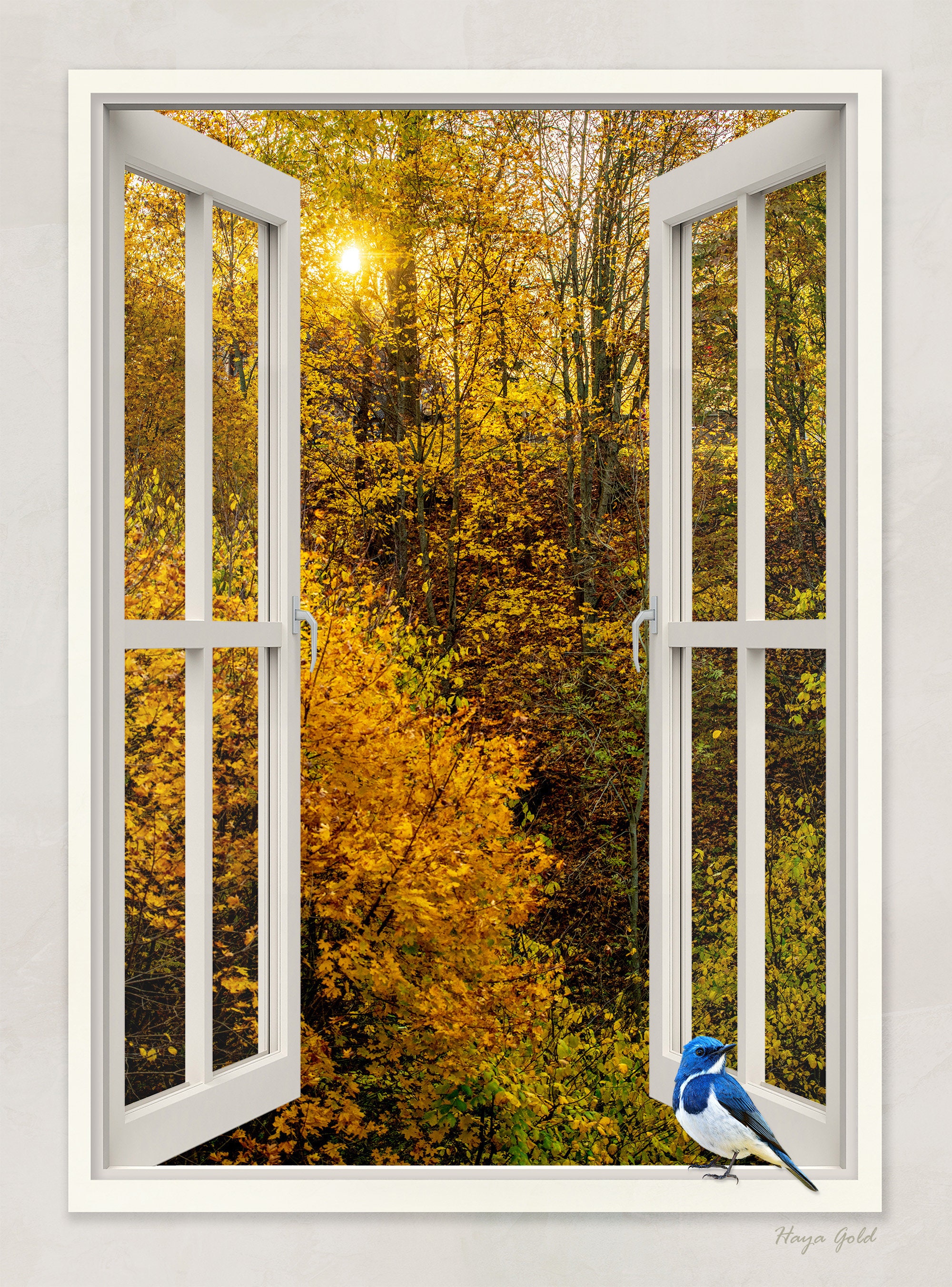 Open Window With Birds