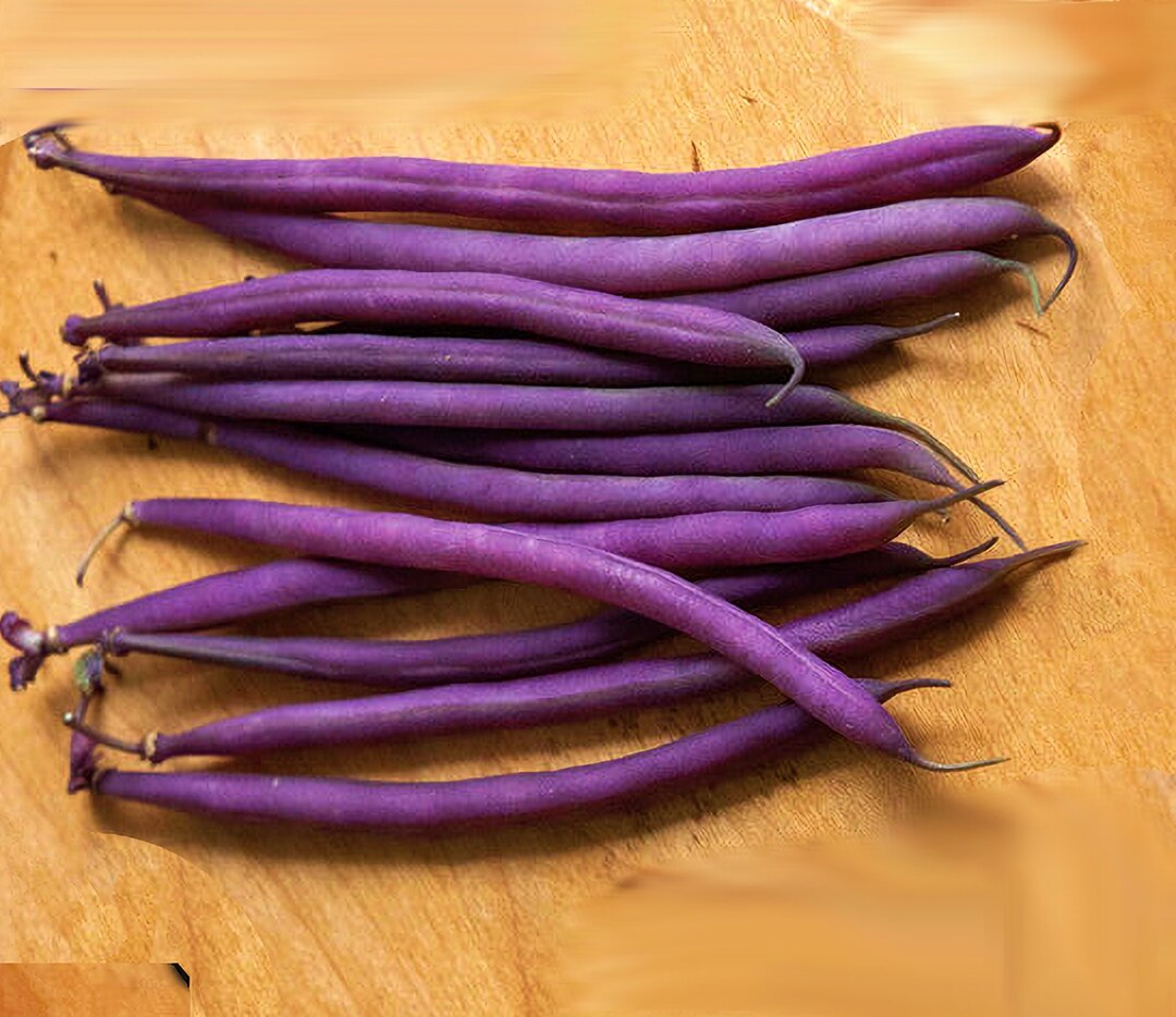 Celine, Bush Beans, Heirloom Seeds, Open Pollinated Garden Seeds Non ...