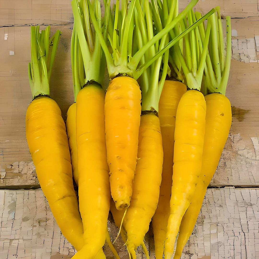 Solar Yellow, Carrot, Heirloom Garden Seeds Open Pollinated Container ...