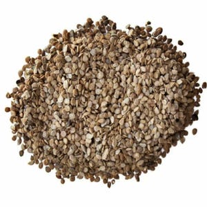 Jory Tomato Seeds: Heirloom, Open Pollinated, Non-gmo - Etsy