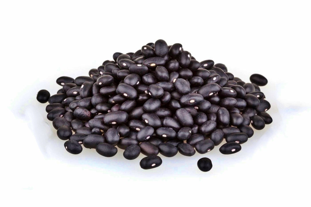 Hopi Black, Dry Bush Beans, Heirloom Seeds, Open Pollinated Vegetable ...