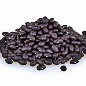 Hopi Black, Dry Bush Beans, Heirloom Seeds, Open Pollinated Vegetable ...