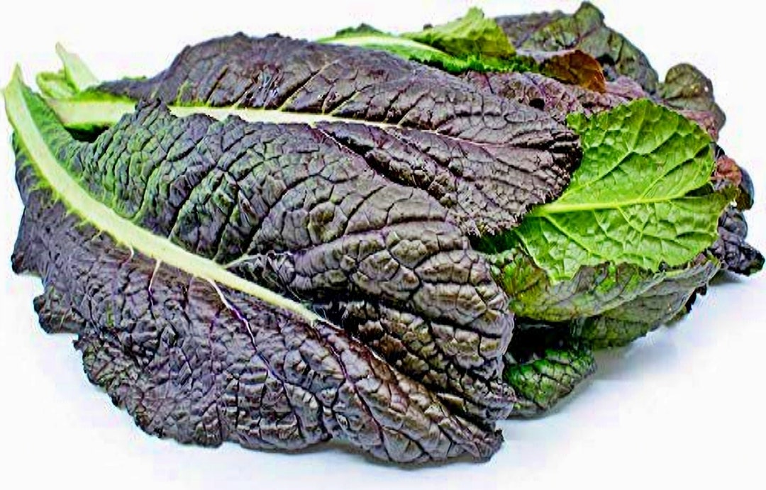 Red Garnet, Mustard, Heirloom Seeds, Salad Greens Open Pollinated ...